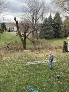 Deep Pruning - Moment by Moment